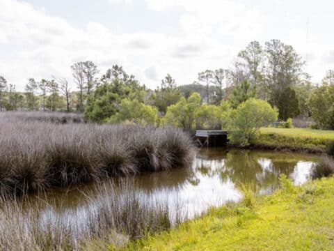 Our History - Windwood Farm