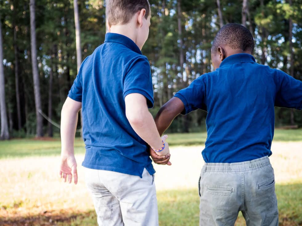 Discharge & Transitions - Windwood Farm