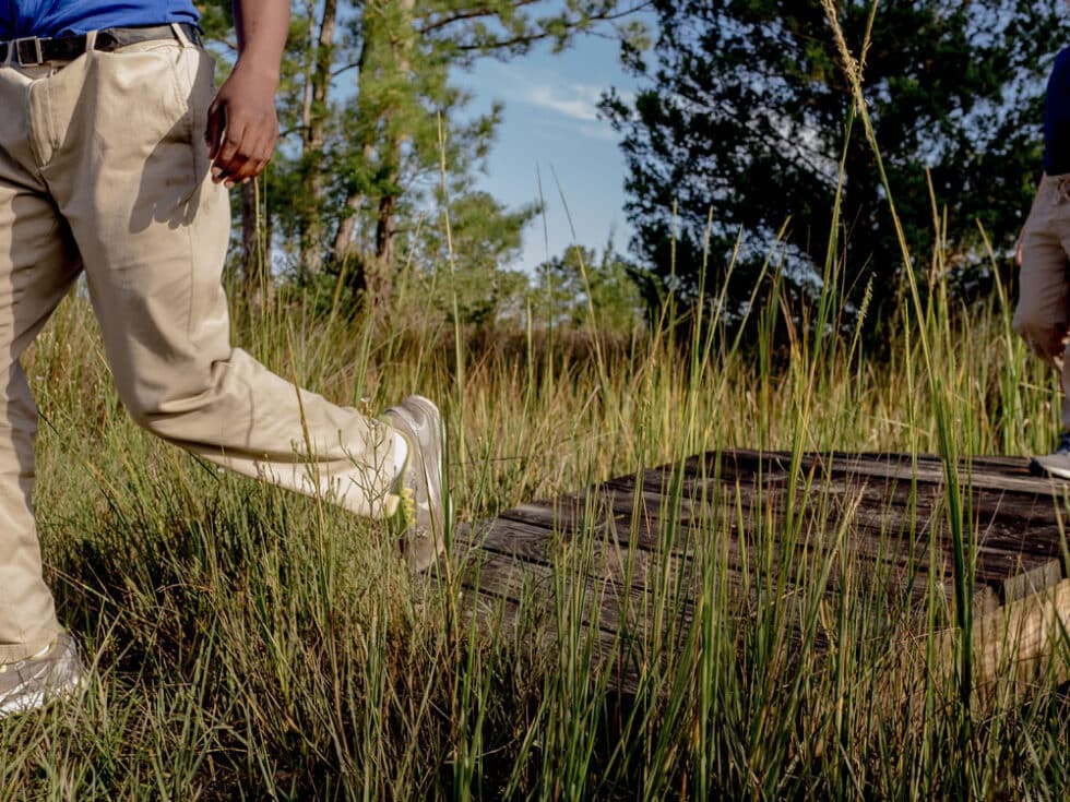 Discharge & Transitions - Windwood Farm