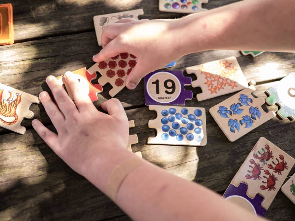 Our History - Windwood Farm