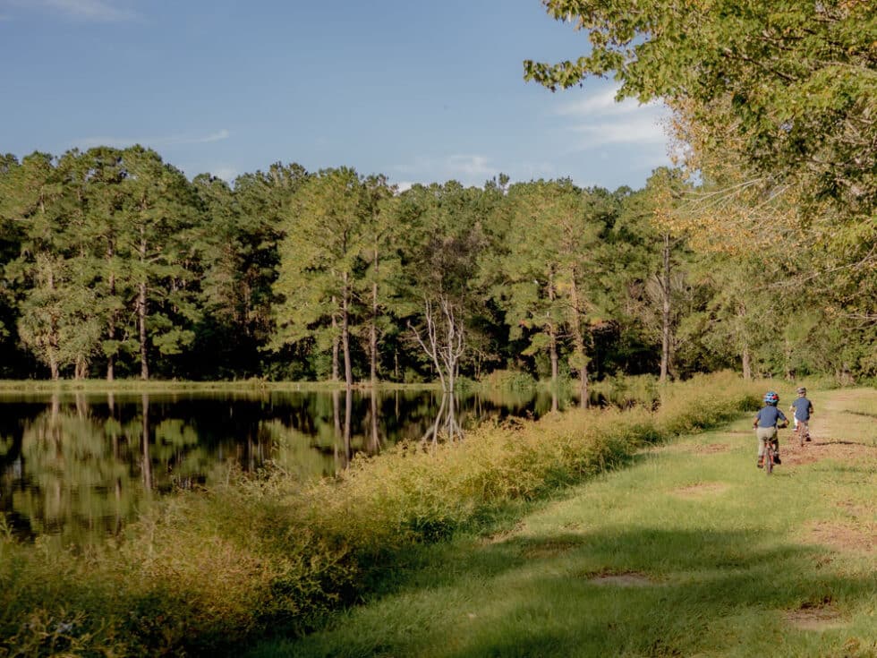 Our History - Windwood Farm